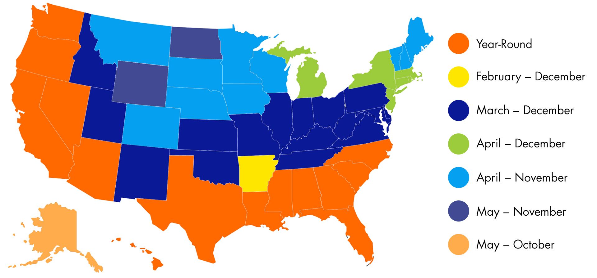 How to Prevent Ticks and Fleas