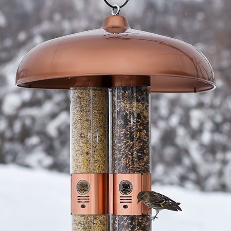 Perky-Pet® Copper Finish Triple Tube Bird Feeder - 2 Pack
