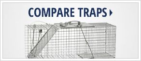 Live Animal Traps & Repellents For Sale Online | Havahart®