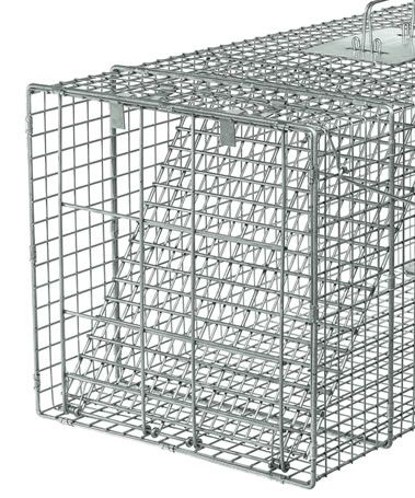 How to Trap Beavers | Beaver Trapping | Havahart®