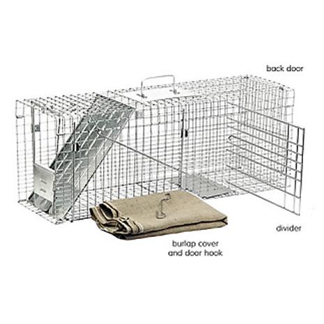 Humane Trap & Rescue Kit for Catching Feral Cats | Havahart® 1099
